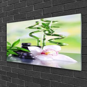 Obraz na skle Orchidej Bambus Zen Lázně 120x60 cm