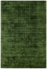 Zelený  koberec Ife Green Rozměry: 240x340 cm
