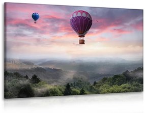Malvis ® Obraz balóny nad lesem Velikost (šířka x výška): 75x50 cm