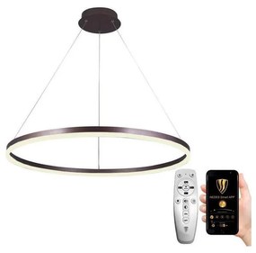 NEDES LED Stmívatelný lustr na lanku LED/55W/230V 3000-6500K + dálkové ovládání ND3440