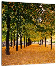 Obraz aleje podzimních stromů (30x30 cm)