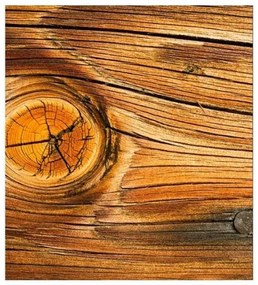 DIMEX | Vliesová fototapeta na zeď Dřevěný suk MS-3-0157 | 225 x 250 cm | hnědá, šedá