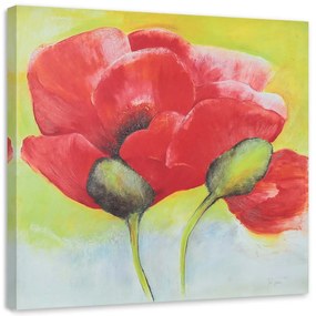 Obraz na plátně Červené máky Příroda - 60x60 cm