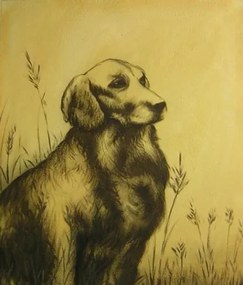 Lovecký pes - 60 x 50 cm