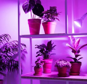 BERGE LED žárovka E27 8W s plným spektrem pro rostliny PPF 14 µmol/s