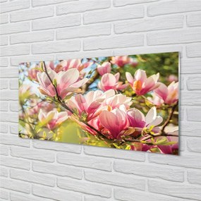 Obraz na skle růžová magnolie 125x50 cm