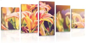 5-dílný obraz krásné kvetoucí květiny v zahradě - 200x100 cm