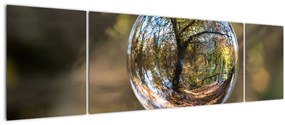 Obraz - Odraz ve skleněné kouli (170x50 cm)