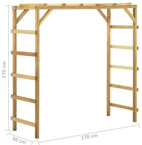 vidaXL Venkovní ručkovací žebřina 170 x 60 x 170 cm masivní borovice