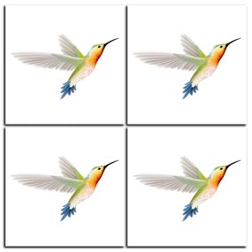 Obraz na plátně - Kolibřík na bílém pozadí - čtverec 389B (100x100 cm)
