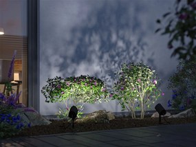 P 94849 Plug & Shine LED bodové zahradní světlo Smart Home Zigbee Shira IP65 RGBW+ 6,5W antracit - PAULMANN