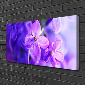 Obraz na plátně Fialové Květiny Příroda 100x50 cm