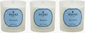 Sada ručně vyrobených vonných svíček Vintage Aromatherapy (hyacint, zelené květinové tóny a bílé pižmo), 3 díly