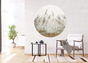 Samolepící vliesová fototapeta na zed' Plameňáci v Rákosí | 140 x 140 cm | DCR3304