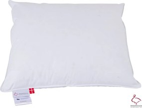Polštář s péřovou výplní 70x80 cm Jack the Dullard – Ringsted Dun