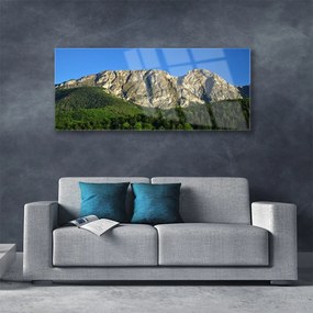 akrylový obraz Hora Les Příroda 125x50 cm