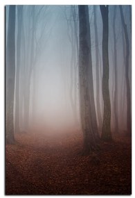 Obraz na plátně - Mlha v lese - obdélník 7182A (100x70 cm)