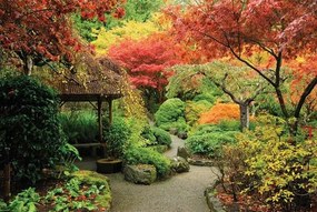 Vliesová fototapeta Dimex Japanese Garden XL-143 330x220 cm