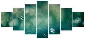 Obraz - Detail trávy (210x100 cm)