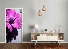 Samolepící fototapeta na dveře Růžová gerbera 95x205 cm