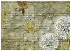 Skleněný obraz - Pampelišky unášené větrem (70x50 cm)