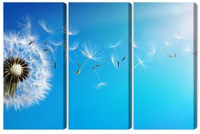 Vícedílný obraz Pampeliška S Létajícími Semeny Nedostatek Nedostatek Plátno Canvas 180x120