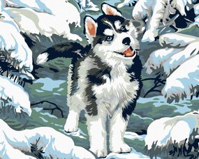 Diamantové malování diamondi - diamantové malování - malý husky, 40x50 cm, vypnuté plátno na rám