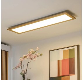Brilagi - LED Stropní svítidlo SLIMFRAME WOOD LED/58W/230V 124x34 cm hnědá