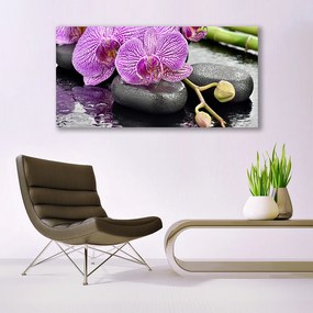 Plexisklo-obraz Kameny Zen Orchidej Lázně 120x60 cm