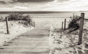 Postershop Fototapeta vliesová: Pláž (černobílá) - 254x368 cm