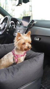 Cestovní pelíšek pro psy do auta JULIAN - černý