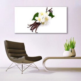 akrylový obraz Vanilková Tyčinka do Kuchyně 120x60 cm