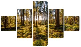 Vícedílný obraz 3D Slunečná Lesní Krajina Nedostatek Nedostatek Přírodní plátno 200x120