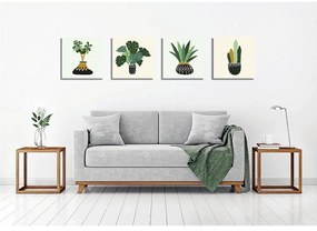 Obrazy v sadě 4 ks 30x30 cm Plants – Wallity