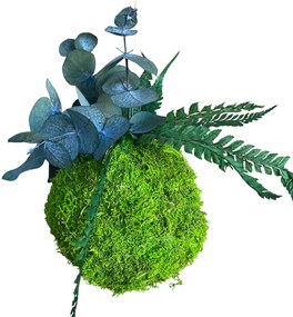 Závěsné kokedamy ze stabilizovaného mechu a rostlin Průměr koule: 20 cm, Barva koule: tmavě zelená