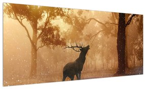 Obraz jelena v říji (100x40 cm)