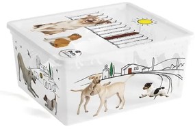 Úložný box C-BOX M 18l, pets