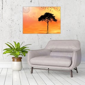 Obraz stromu v západu slunce (70x50 cm)