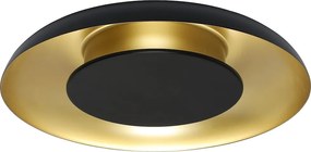 Stropní LED svítidlo Piattino, 1x LED 30w, 3000-6000k, b/g