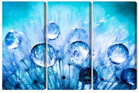 Vícedílný obraz Kapky Rosy Na Semenech Pampelišky V Makro Měřítku Nedostatek Nedostatek Plátno Canvas 150x100