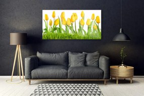 akrylový obraz Tulipány 120x60 cm