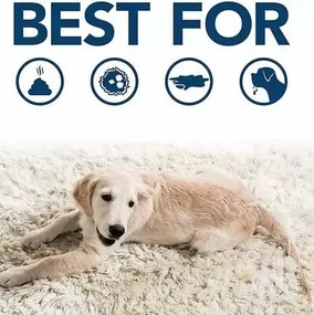 Simple Solution Stain Odor Remover Spring Breeze 750ml / Odstraňovač