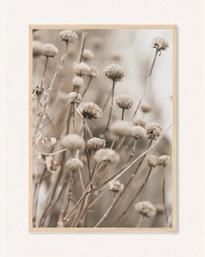 Oboustranný plakát Letní Pampová Tráva | 30 x 42 cm | DP351493