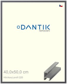 DANTIK rámeček 40x50 | ALU profil 6220 Ocelová (Plexi Čiré)