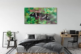 akrylový obraz List barevný motýl 140x70 cm