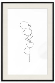 Plakát Grafický eukalyptus - minimalistická kresba listů v lineárním stylu