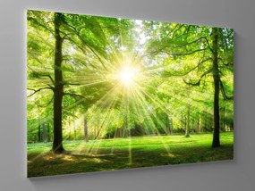 Liox Obraz zelený les v létě Rozměr: 150 x 100 cm
