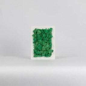 Mechový miniobraz | 15x10 cm | tyrkysový - bílý rám