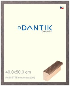 DANTIK rámeček 40x50 | KASSETTE tmavěšedá (Sklo Čiré)