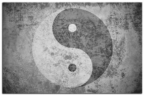 Obraz na plátně - Jin a jang symbol 1170QA (75x50 cm)